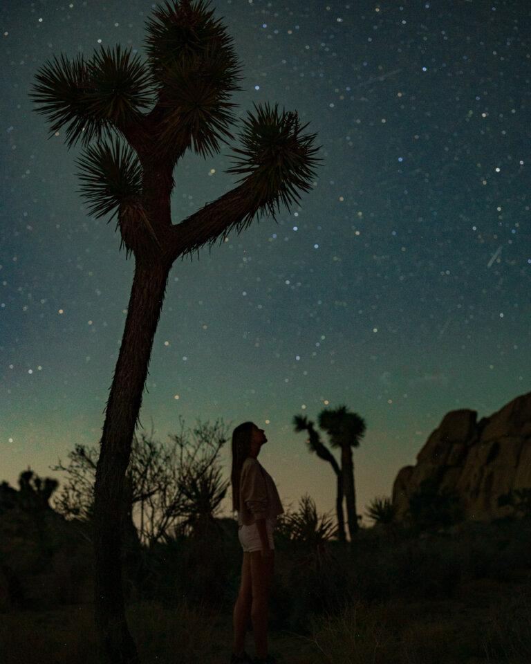 Experience the Magic of Joshua Tree National Park in One Day