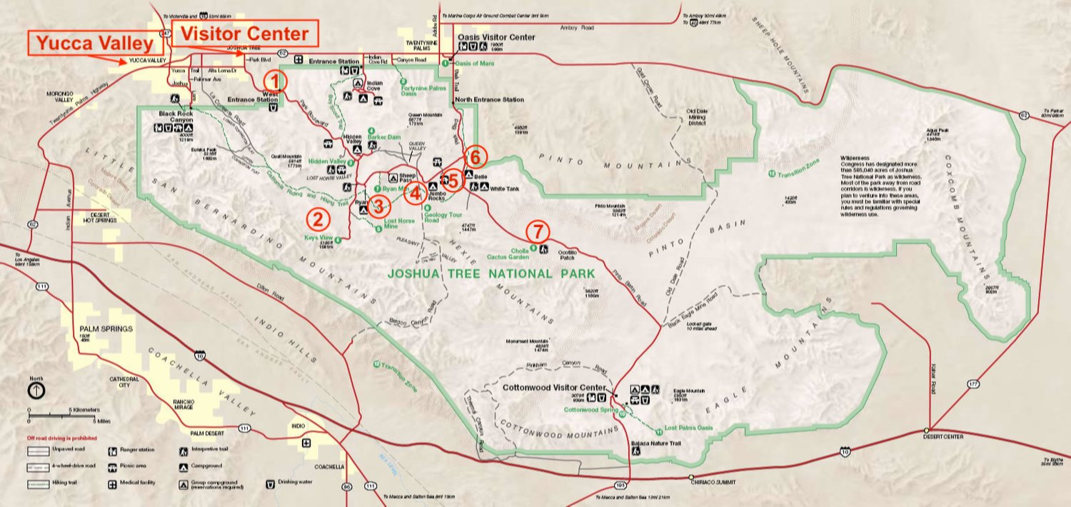 One day in Joshua Tree National Park - Voyagefox