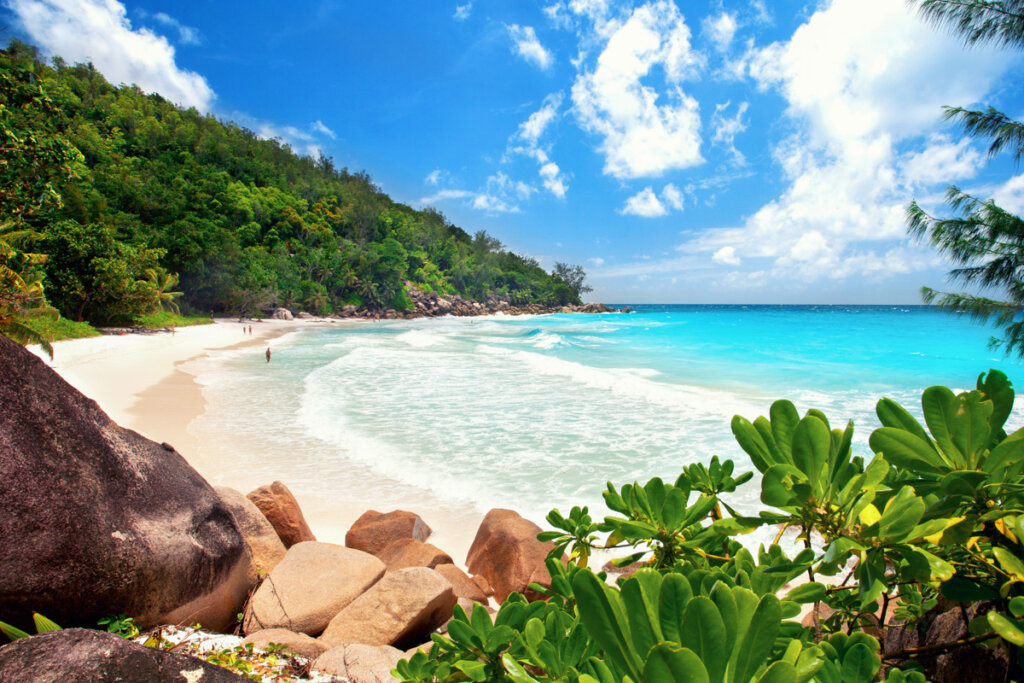 Explore the Best Beaches in the Seychelles for Relaxation