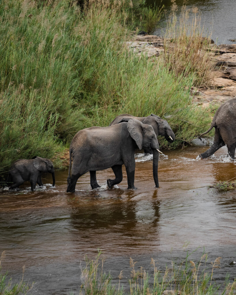 Kruger Shalati Train on the Bridge Hotel Review
