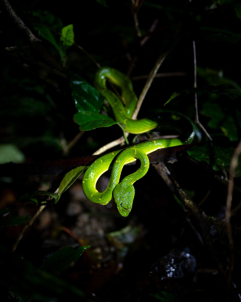 Must-See Costa Rica: Top Attractions & Destinations