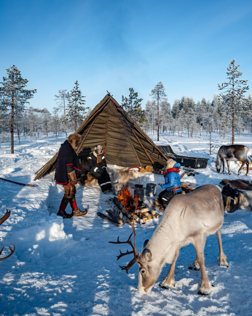 Explore the Magic of Finnish Lapland | Ultimate Travel Guide
