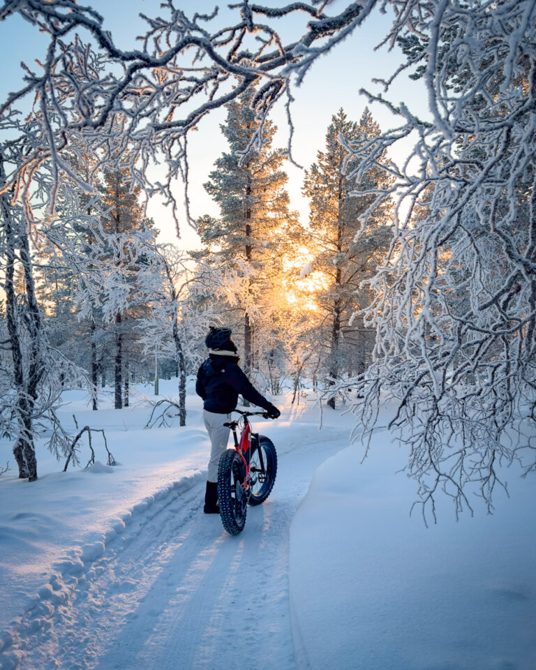 Explore the Magic of Finnish Lapland | Ultimate Travel Guide